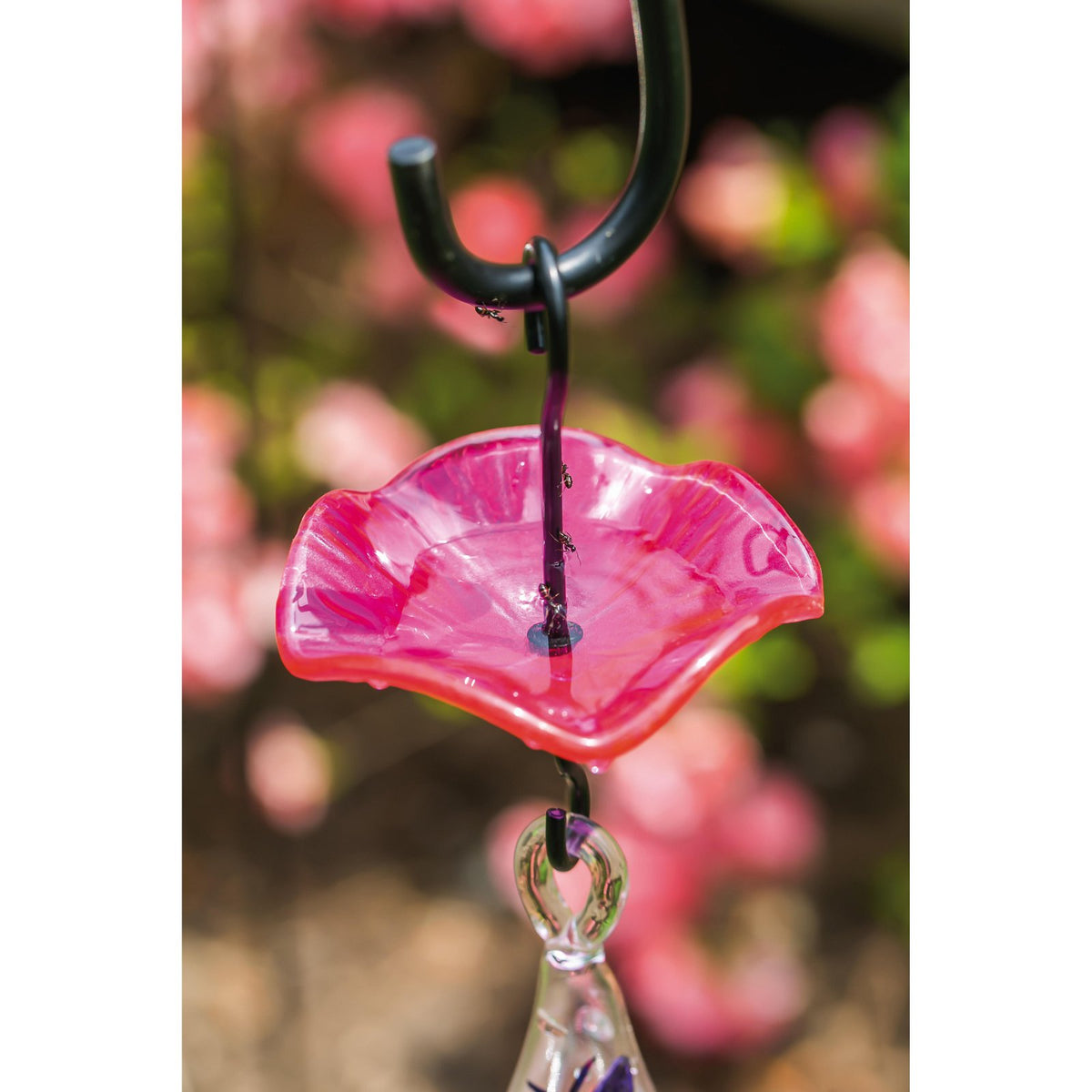 Wavy Glass Ant Moat – Cincinnati Nature Center - The Nature Shop