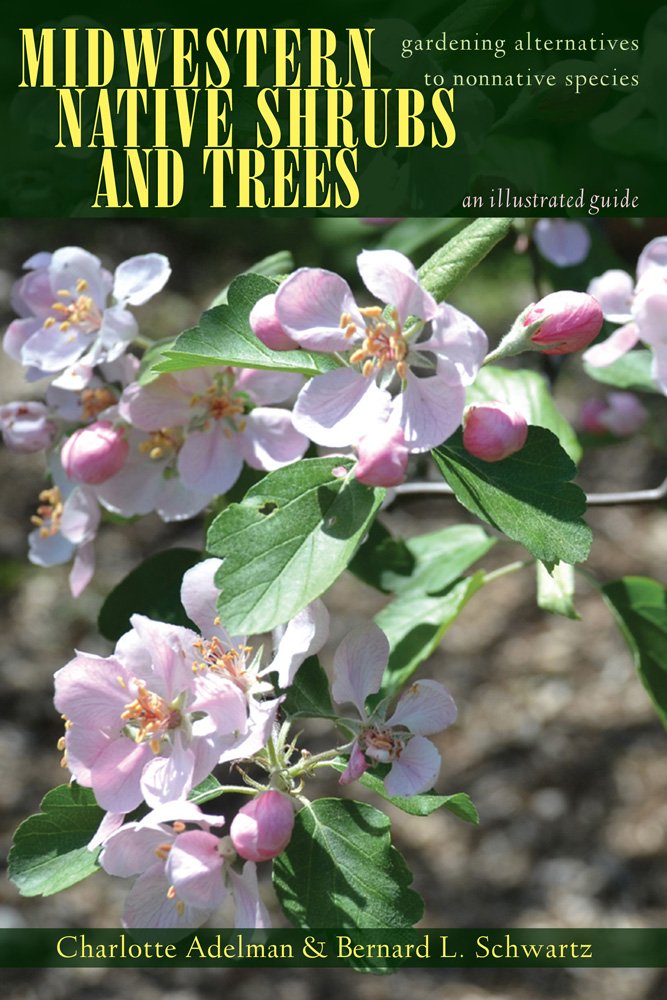 Midwestern Native Shrubs and Trees – Cincinnati Nature Center - The ...