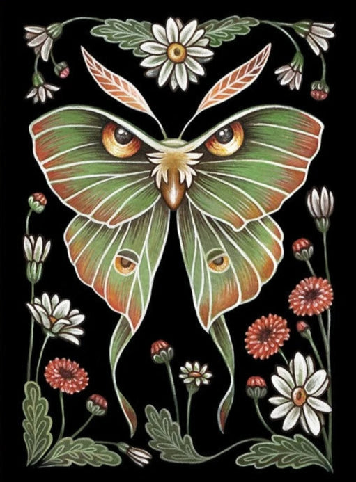 Luna Moth Print – Cincinnati Nature Center - The Nature Shop
