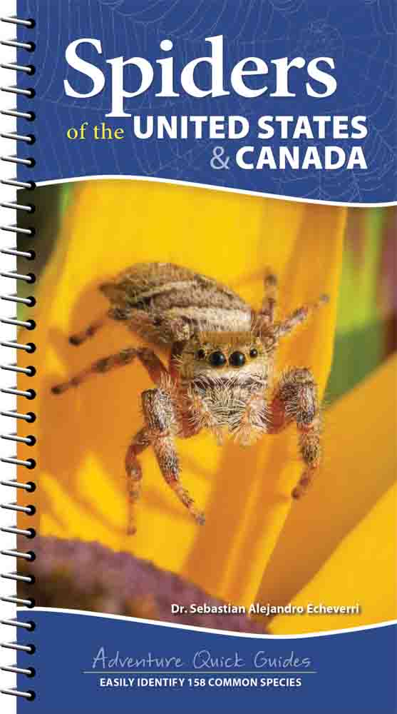 Spiders of the United States & Canada – Cincinnati Nature Center - The ...