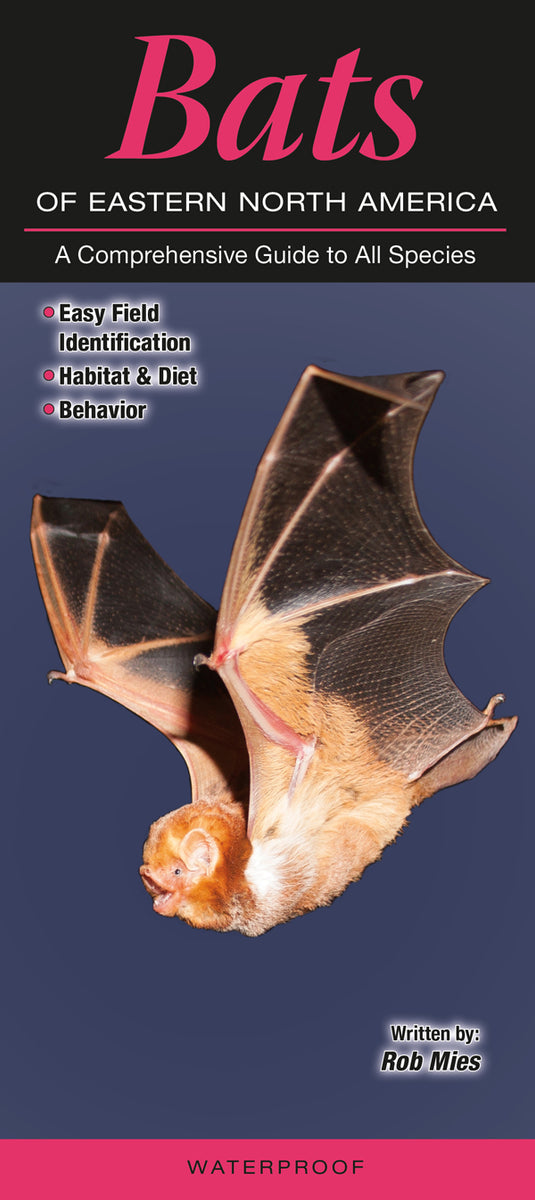 Bats of E. NA Field Guide – Cincinnati Nature Center - The Nature Shop